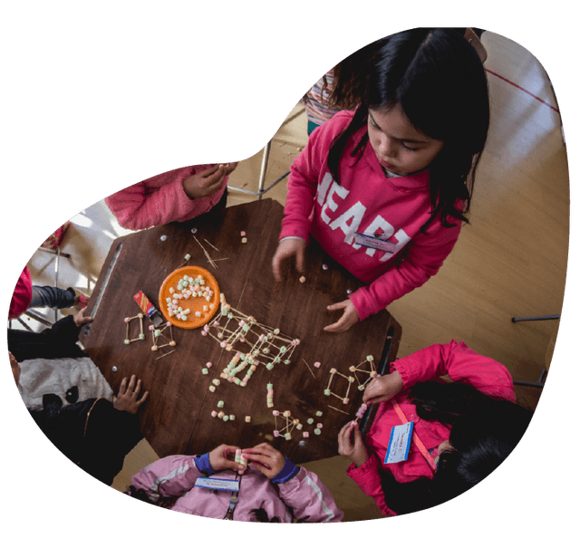 La Araucana | THINKey